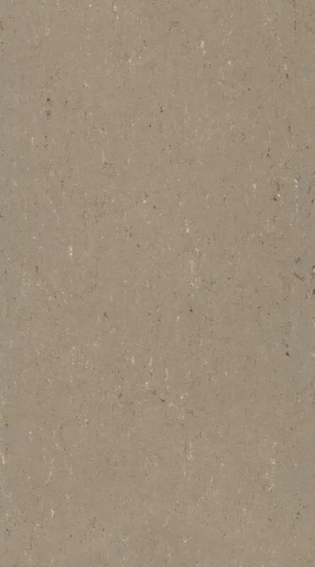 Buy DLW Colorette linoleum, Light Mud - Offer: €33.39,-